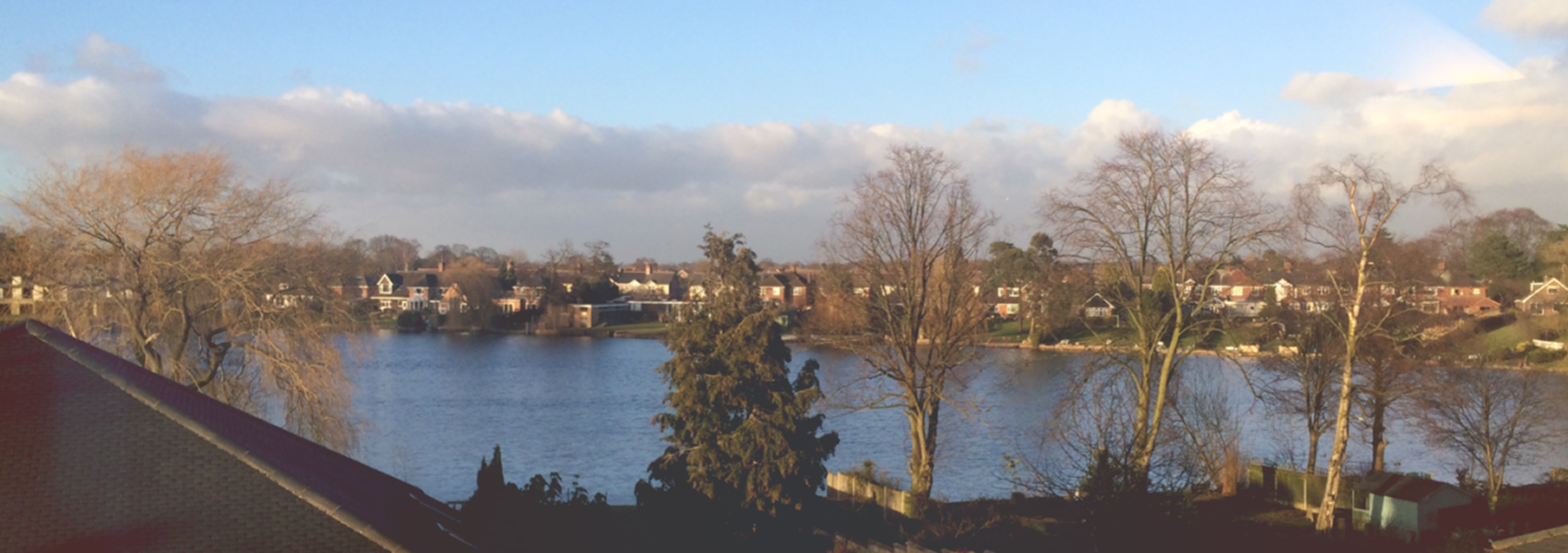 Senate Group Website :: Home