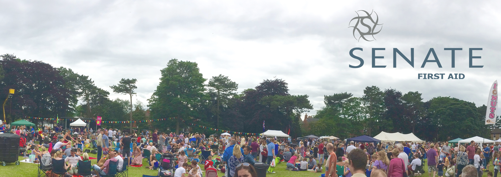 Senate Group Website :: Home